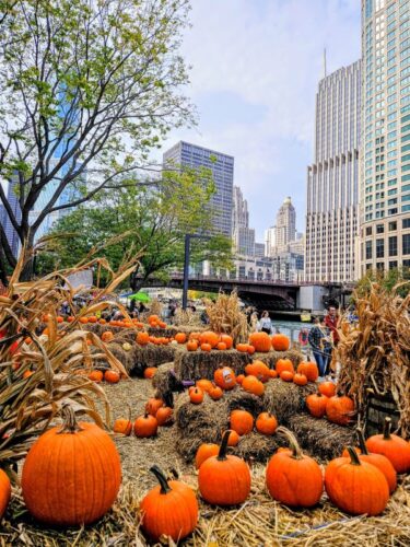 10 Fall Things to do in October in Chicago