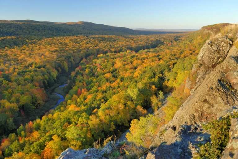 Fall Foliage in the Midwest: 9 Amazing Stops [2024]